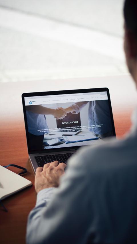 Services | ProvidianSF